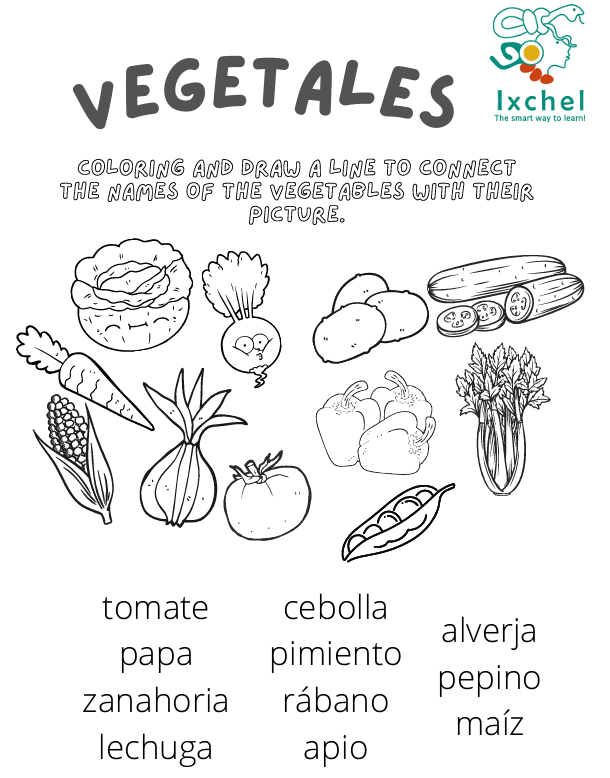 The vegetables P-1-K-083 - spanish lessons online