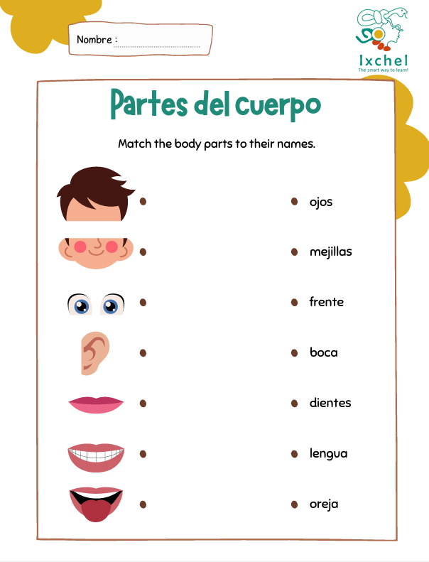 Body parts P-1-K-266 - spanish lessons online